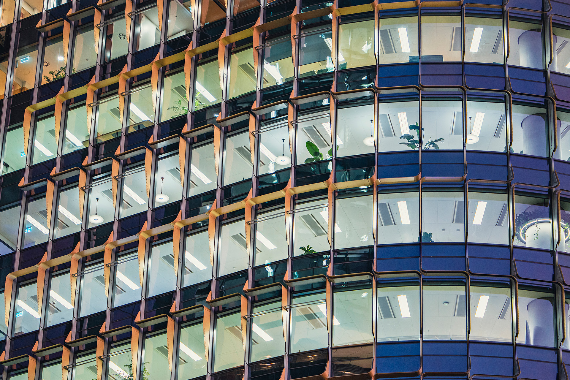 The Cohesity and Cyera Partnership
