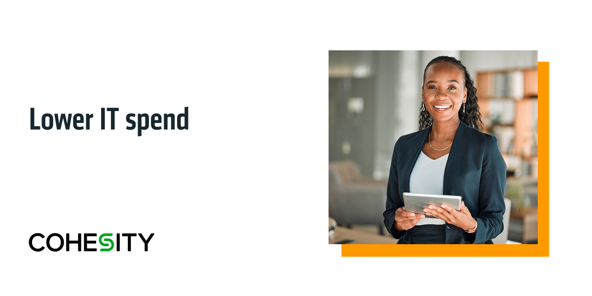 Reduce Cloud Storage IT Costs | Cohesity