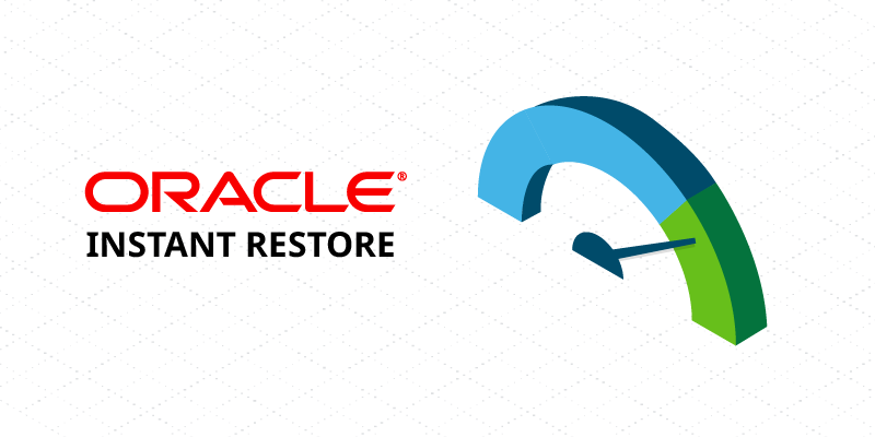 Instant and Non-Disruptive Recovery for Your Mission-critical Oracle ...
