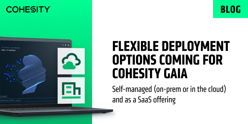 Flexible deployment options coming for Cohesity Gaia
