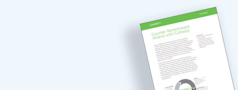 Rapid recovery | Cohesity Instant Mass Restore