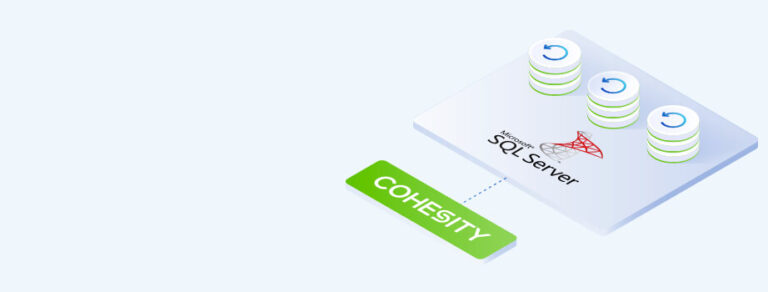 Comprehensive Backup Solutions for Microsoft SQL Databases | Cohesity