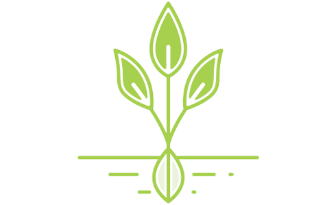 Modern Web-Scale Backup and Recovery | Cohesity