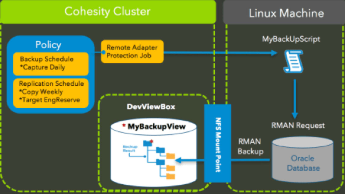 Oracle Database Protection And Recovery With Rman Cohesity