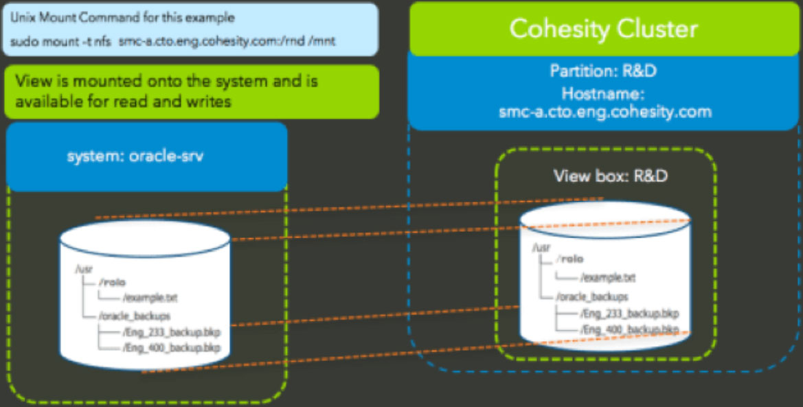 Oracle Database Protection and Recovery with Rman | Cohesity Oracle Database Protection and Recovery with Rman | Cohesity